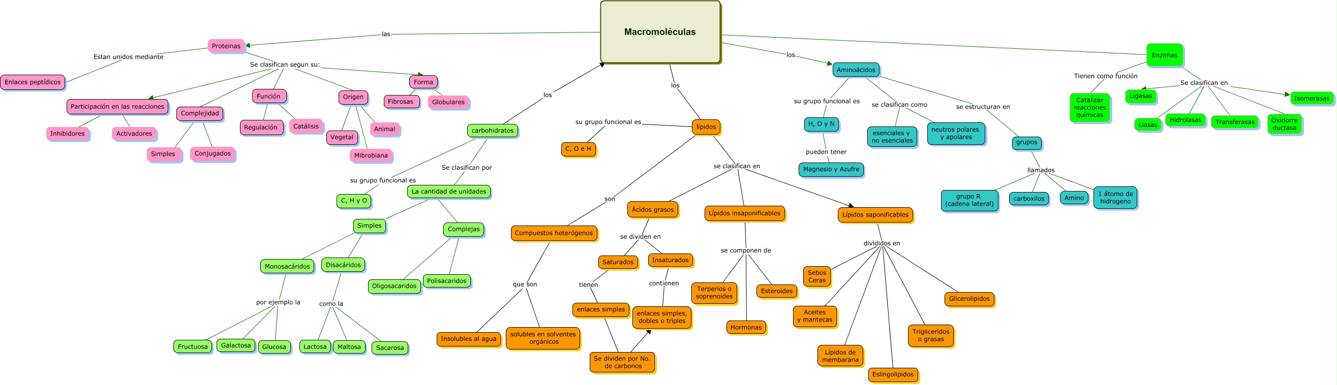 Mapa conceptual macromoléculas